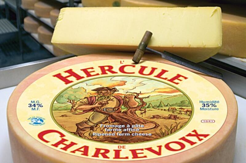 L’Hercule De Charlevoix – International Cheese Inc.