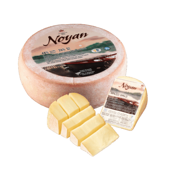 Noyan – International Cheese Inc.